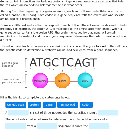 IXL | Genes, proteins, and traits: understanding the genetic code | 7th ...