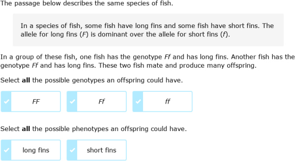 IXL | Genetic variation in sexual reproduction | 6th grade science