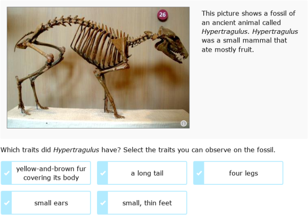 IXL | Compare fossils to modern organisms | 3rd grade science