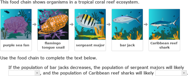 IXL | Use food chains to predict changes in populations | 8th grade science