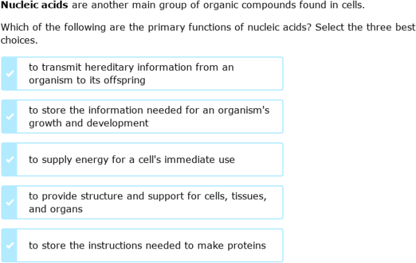 Compare The Structure And Function Of Carbohydrates Lipids Proteins And 3893