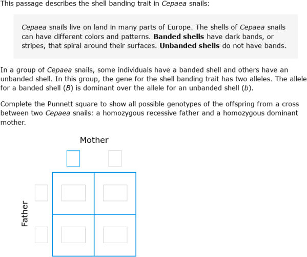 IXL - Punnett squares: Mendelian inheritance (Biology practice)