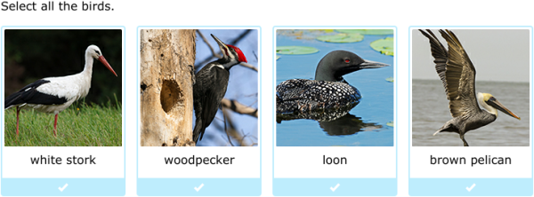 IXL | Identify mammals, birds, fish, reptiles, and amphibians | 5th ...