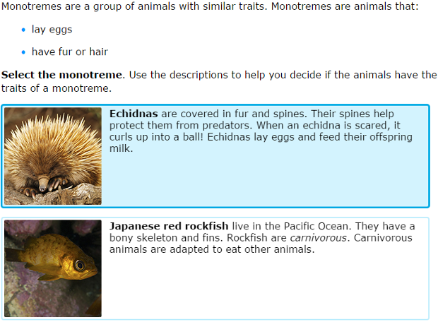 IXL - Use evidence to classify animals (4th grade science practice)