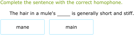 IXL | Use the correct homophone | 4th grade language arts
