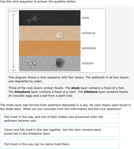 IXL | Interpret evidence from fossils in rock layers | 5th grade science