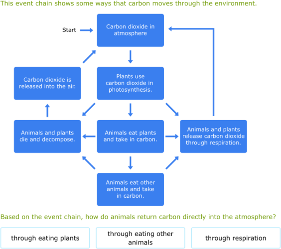 IXL | Read graphic organizers | 7th grade language arts