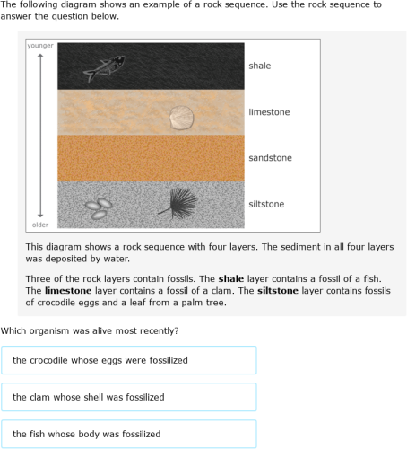 IXL | Interpret evidence from fossils in rock layers | 4th grade science