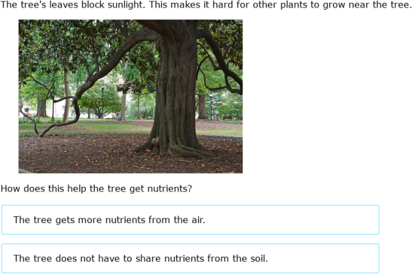 IXL | How do living things change their environments to meet their ...