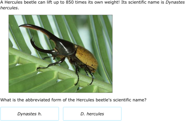 IXL | Identify common and scientific names | 4th grade science