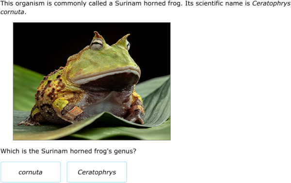 IXL | Identify common and scientific names | 7th grade science