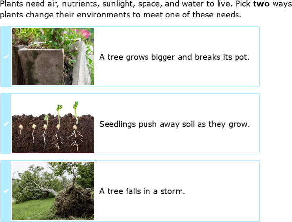 IXL | How do living things change their environments to meet their ...