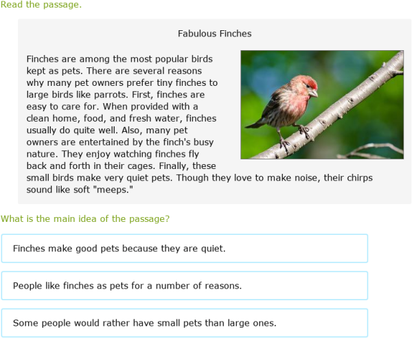 IXL | Determine the main idea of a passage | 4th grade language arts