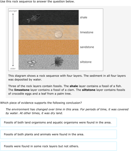 IXL | Interpret evidence from fossils in rock layers | 4th grade science