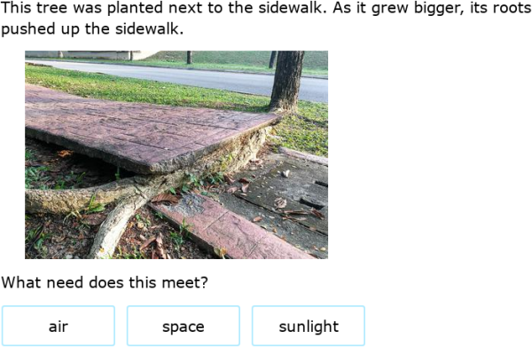 IXL | How do living things change their environments to meet their ...