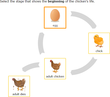 IXL - Read animal life cycle diagrams (3rd grade science practice)