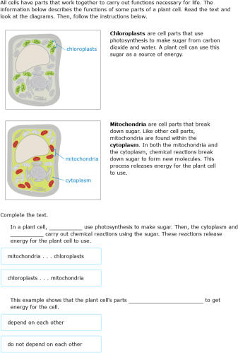 IXL | Understanding cells | 6th grade science