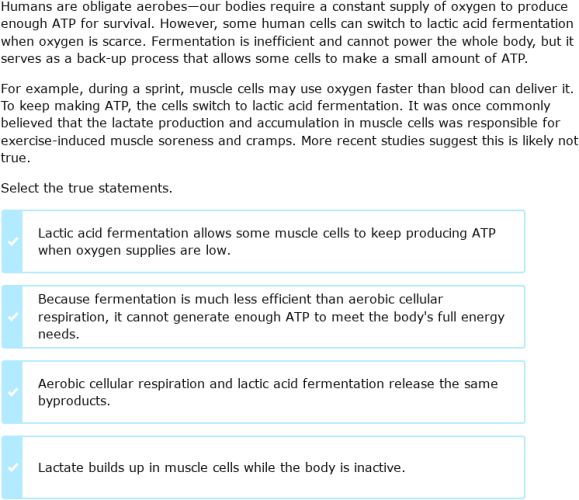 IXL - Aerobic cellular respiration, anaerobic cellular respiration, and ...