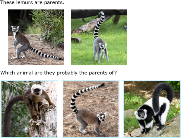 IXL | Match animals to their parents | Kindergarten science
