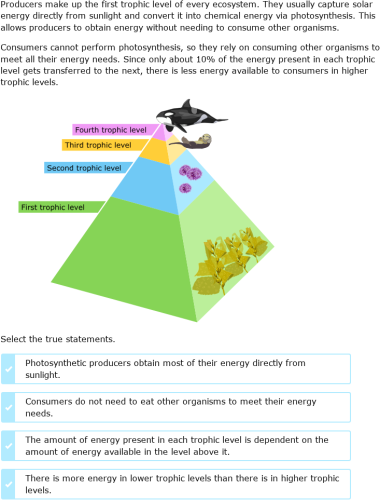 IXL - Trophic levels and energy pyramids (Biology practice)