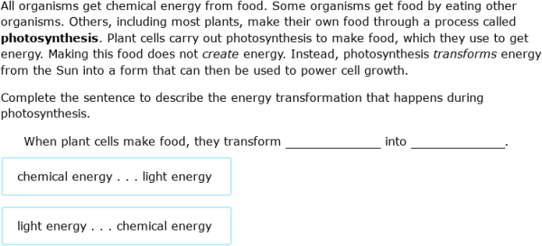 IXL | How do plants use and change energy? | 6th grade science