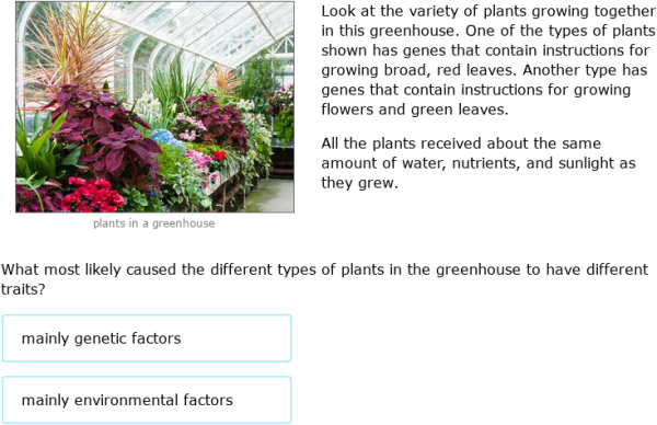 IXL | How do genes and the environment affect plant growth? | 7th grade ...