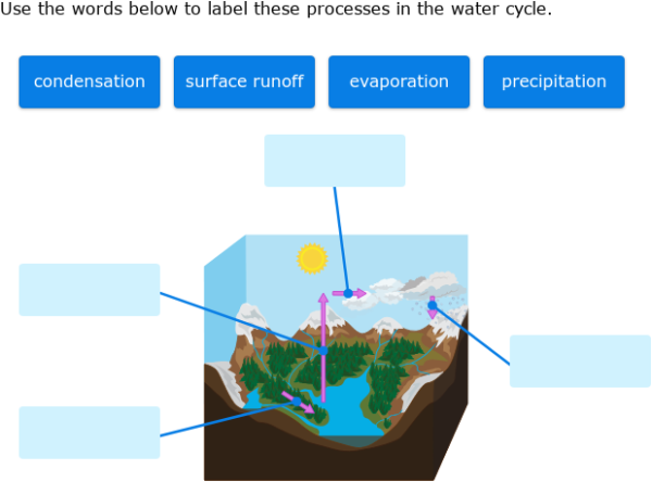 IXL | Label parts of water cycle diagrams | 4th grade science