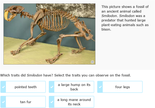 IXL | Compare fossils to modern organisms | 5th grade science