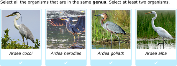 IXL | Use scientific names to classify organisms | 8th grade science