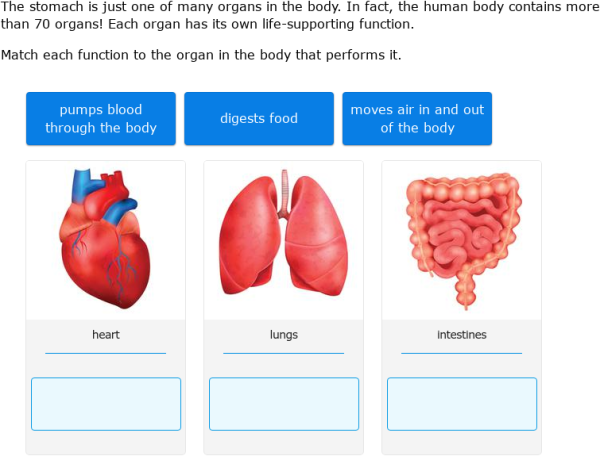 IXL | Organization in the human body | 8th grade science