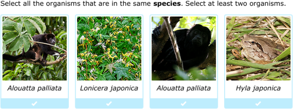 IXL | Use scientific names to classify organisms | 5th grade science