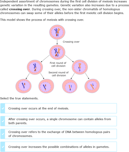 IXL - Sexual reproduction and genetic variation: part II (Biology practice)