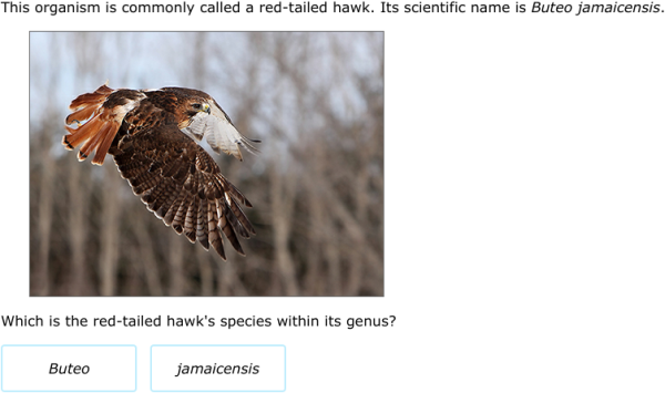 IXL | Identify common and scientific names | 8th grade science