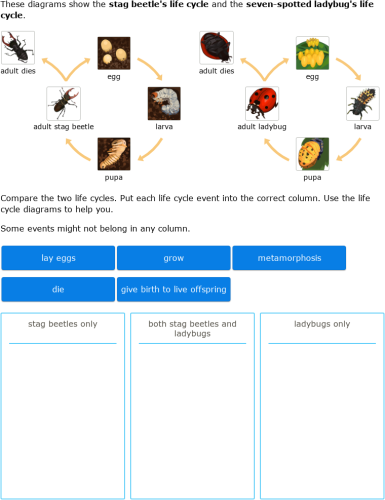 IXL | Compare different animals' life cycles | 2nd grade science