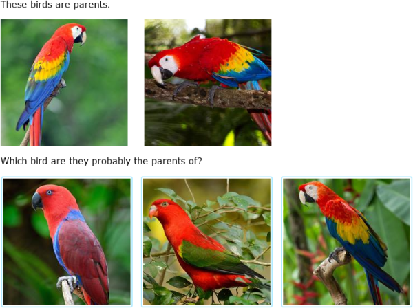 IXL | Match animals to their parents | 2nd grade science