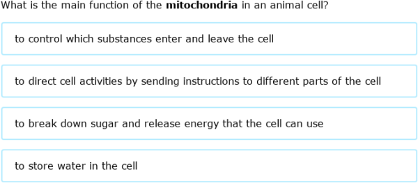 IXL | Identify functions of animal cell parts | 4th grade science