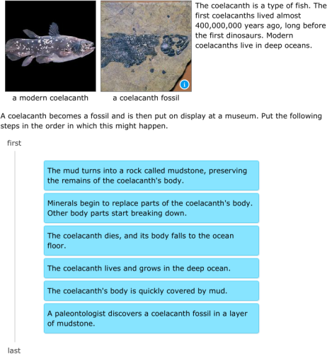 IXL | Introduction to fossils | 3rd grade science