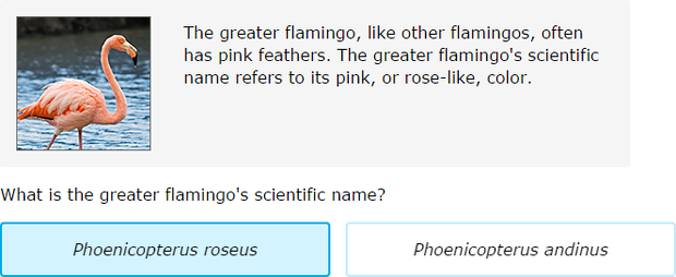 IXL - Origins of scientific names (4th grade science practice)