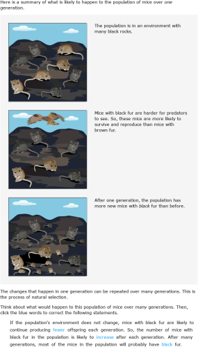 IXL | Introduction to natural selection | 7th grade science