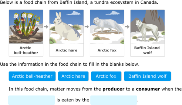 IXL | How does matter move in food chains? | 3rd grade science