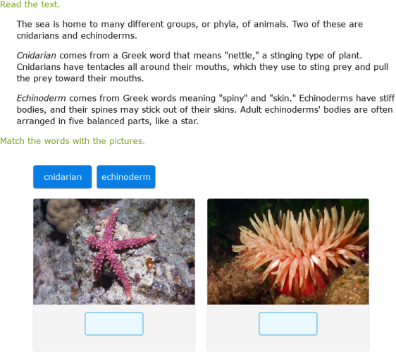 IXL | Determine the meaning of domain-specific words with pictures ...