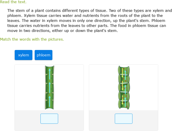 IXL | Determine the meaning of domain-specific words with pictures ...