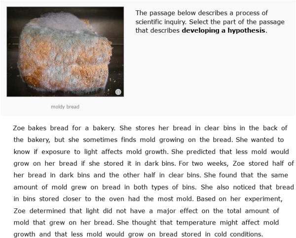 IXL - The process of scientific inquiry (Biology practice)