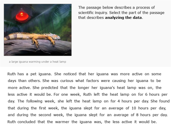 IXL | The process of scientific inquiry | 6th grade science