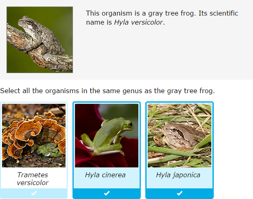 IXL - Use scientific names to classify organisms (5th grade science ...
