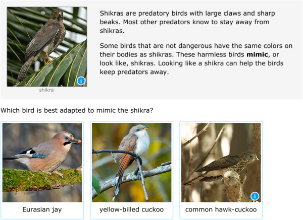 IXL | Animal adaptations: skins and body coverings | 5th grade science