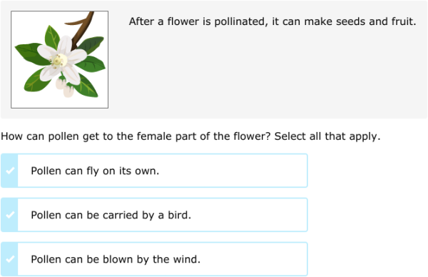 IXL | How do flowering plants make new plants? | 2nd grade science