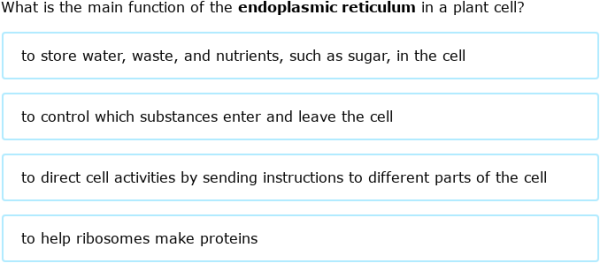 IXL | Identify functions of plant cell parts | 7th grade science