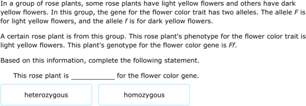 IXL | Genetics vocabulary: genotype and phenotype | 6th grade science