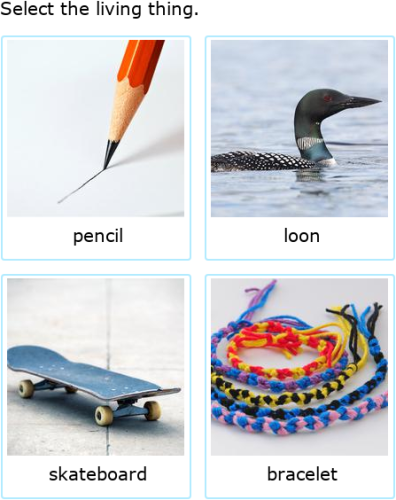 IXL | Identify living and nonliving things | 1st grade science